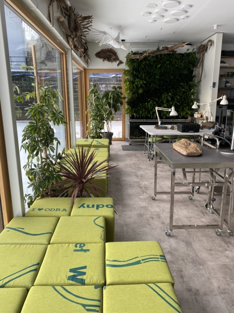 The Odra Centrum - a new Highlight of Wroclaw - WroclawGuide.com