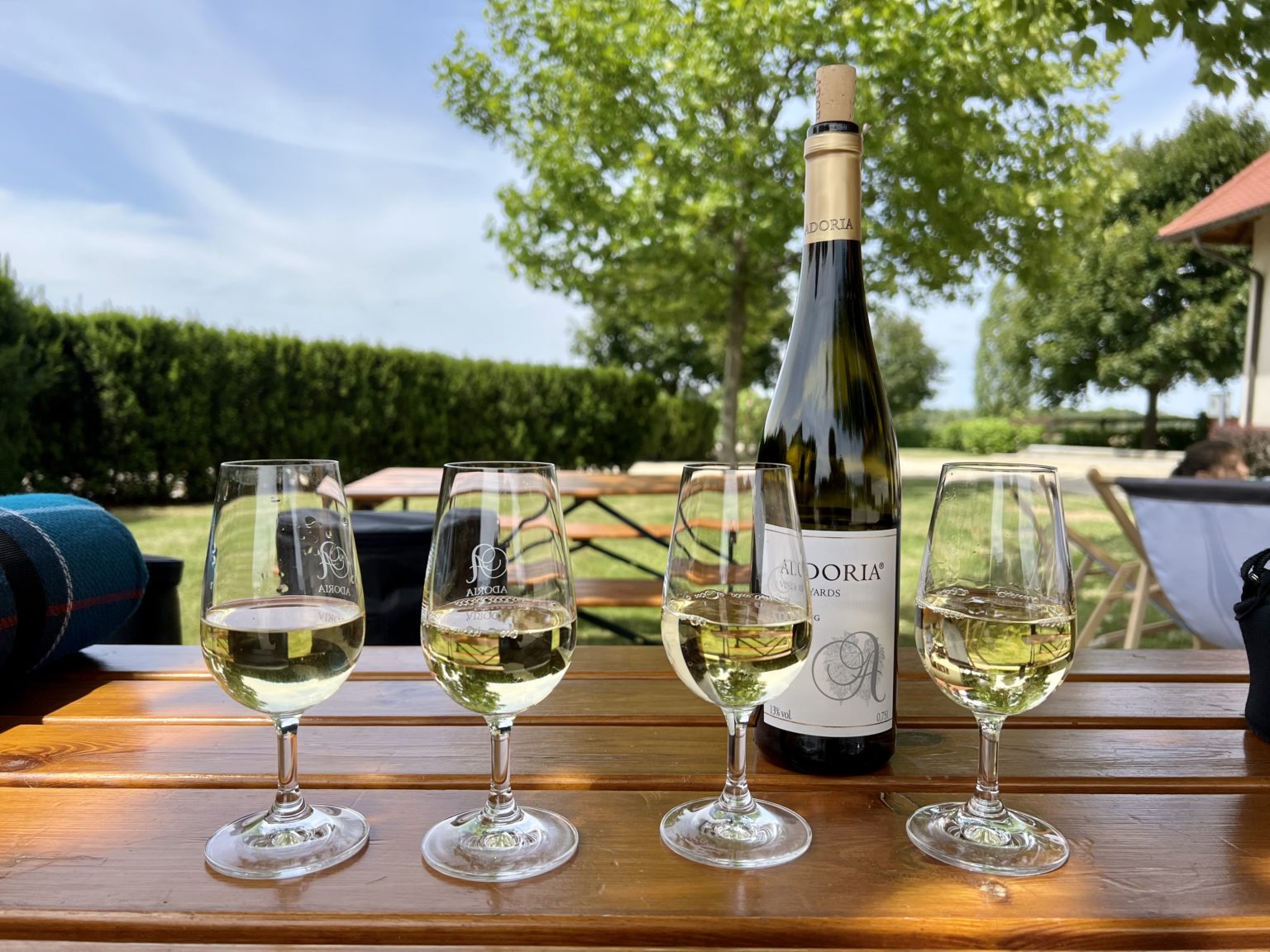 Polish Wine: Wineries in Lower Silesia - WroclawGuide.com