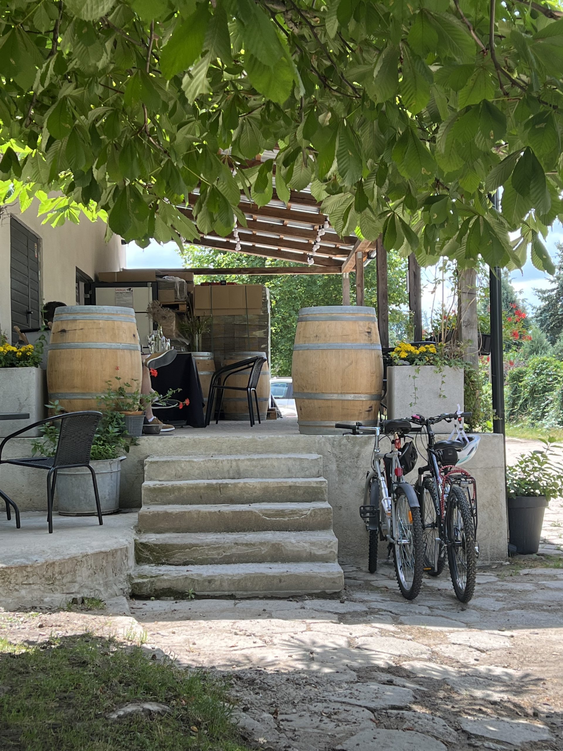 Polish Wine: Wineries in Lower Silesia - WroclawGuide.com